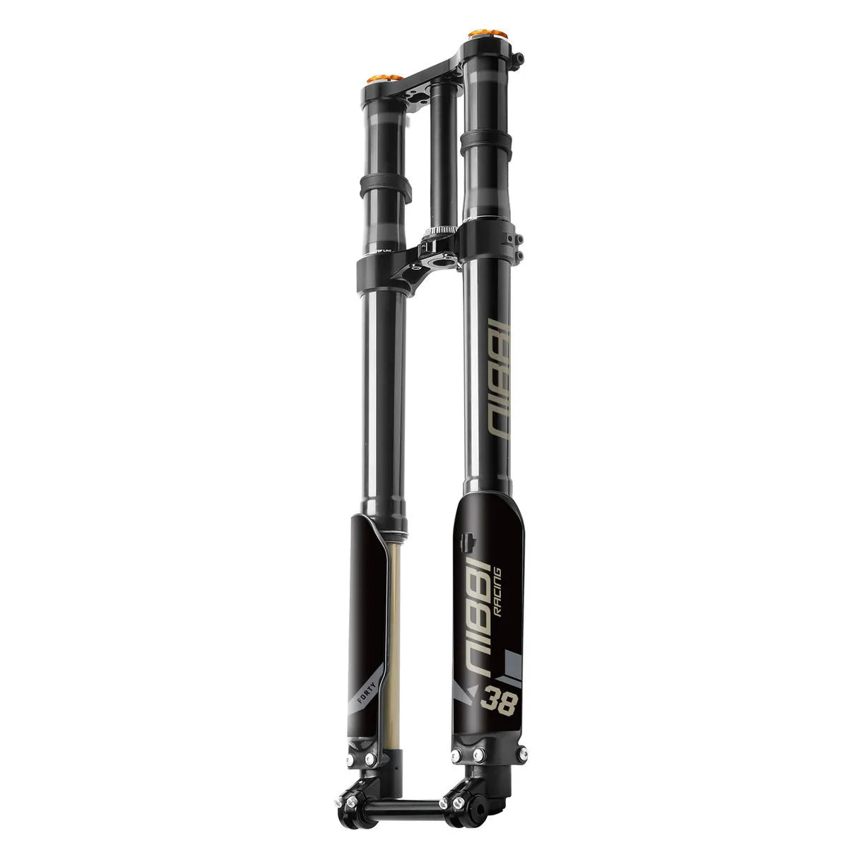 Nibbi 38mm Dual Spring Fork – Rift Racing